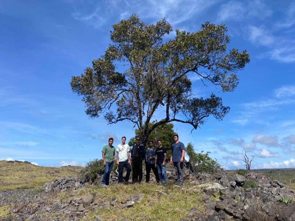 Planting Koa Trees - Habilitat